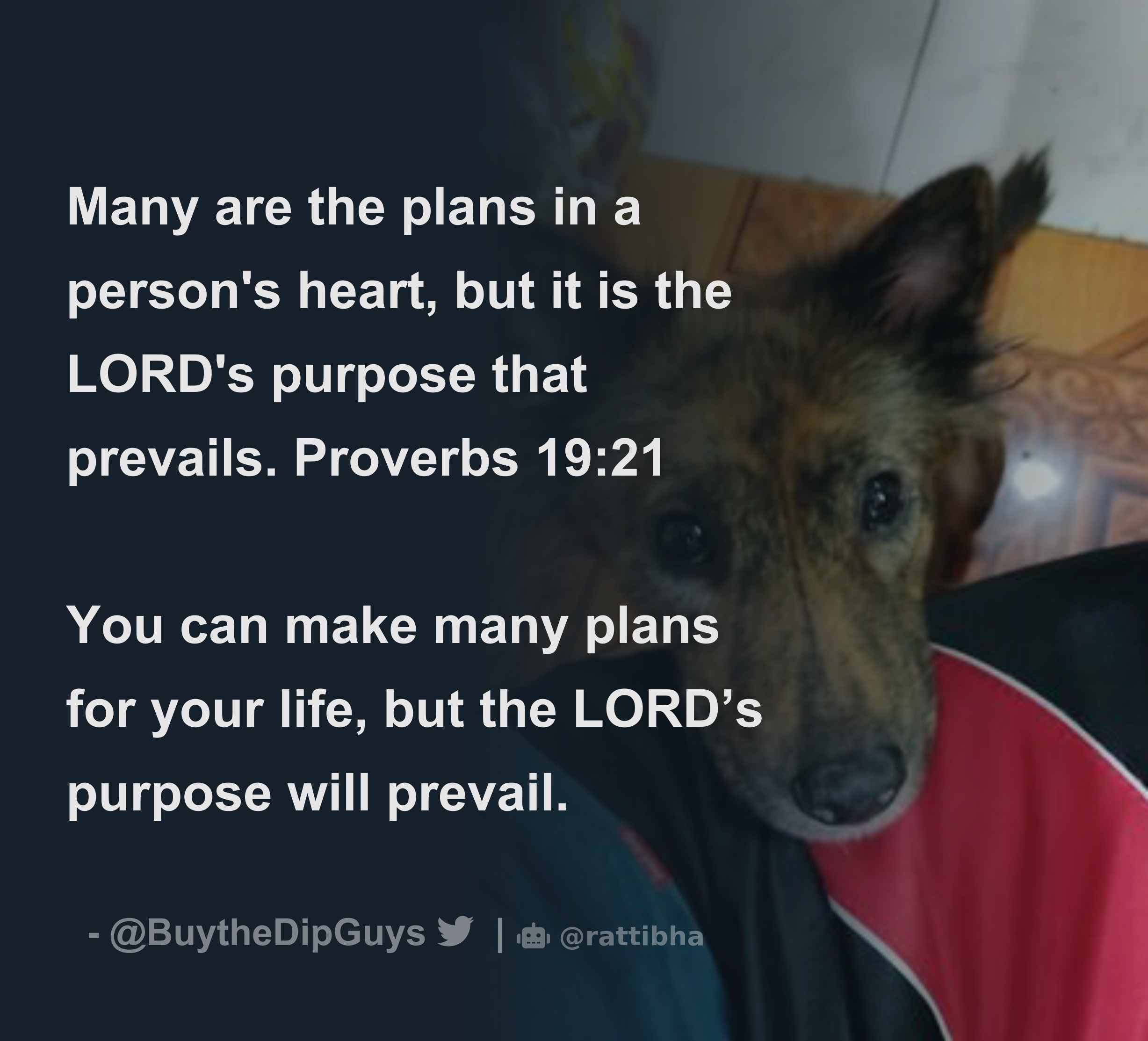 Many are the plans in a person's heart, but it is the LORD's purpose ...