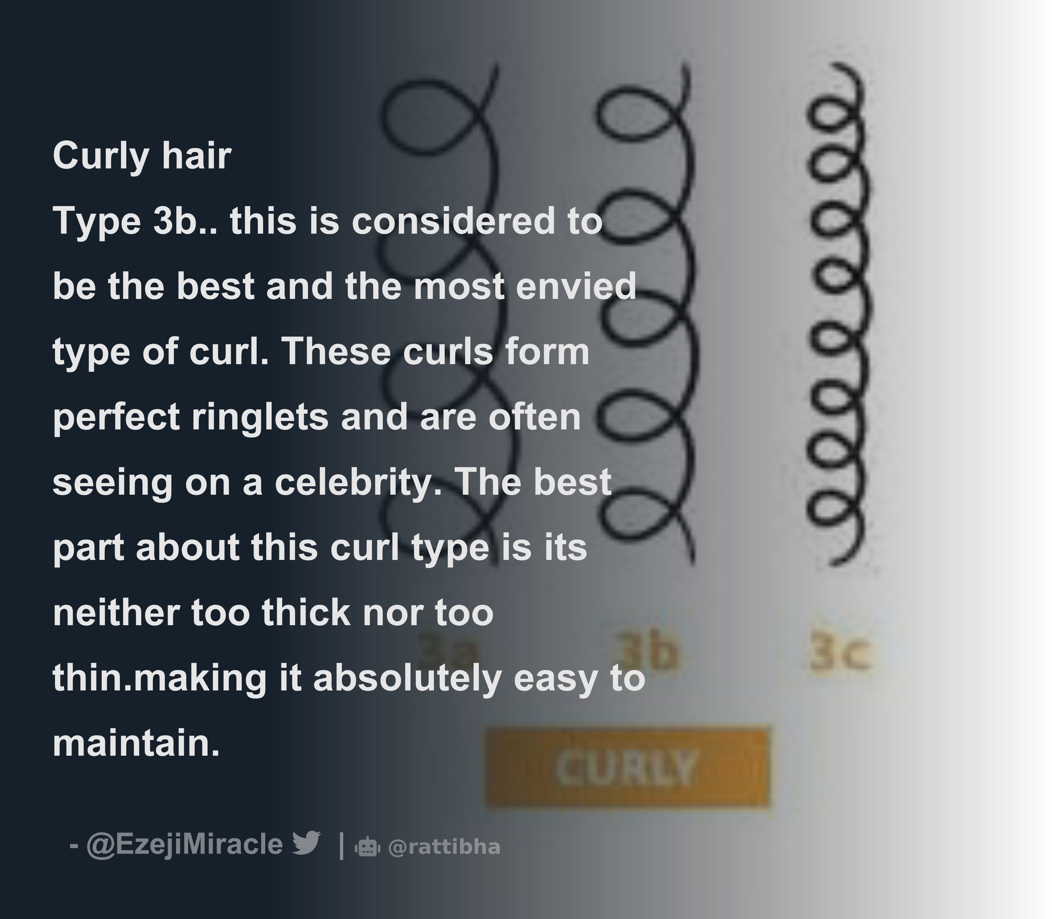 Curly hair Type 3b.. this is considered to be the best and the most ...