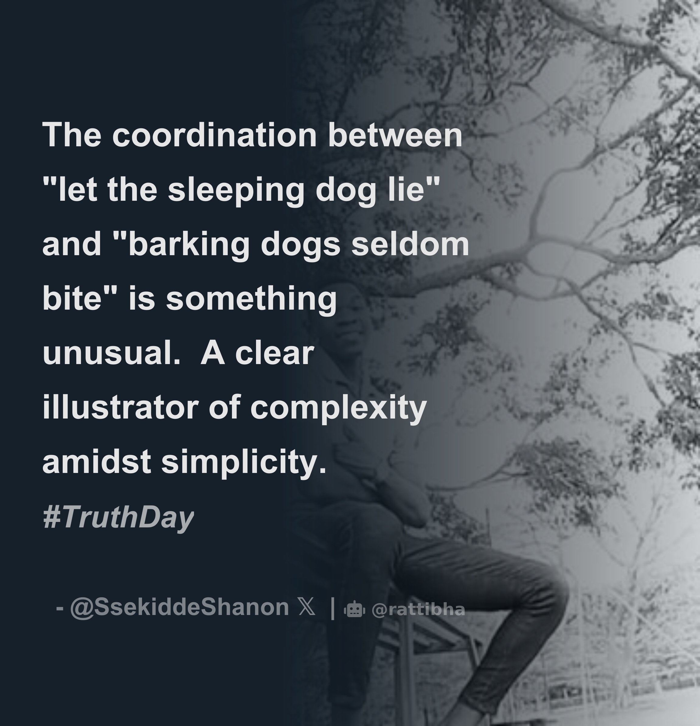The coordination between "let the sleeping dog lie" and "barking dogs ...