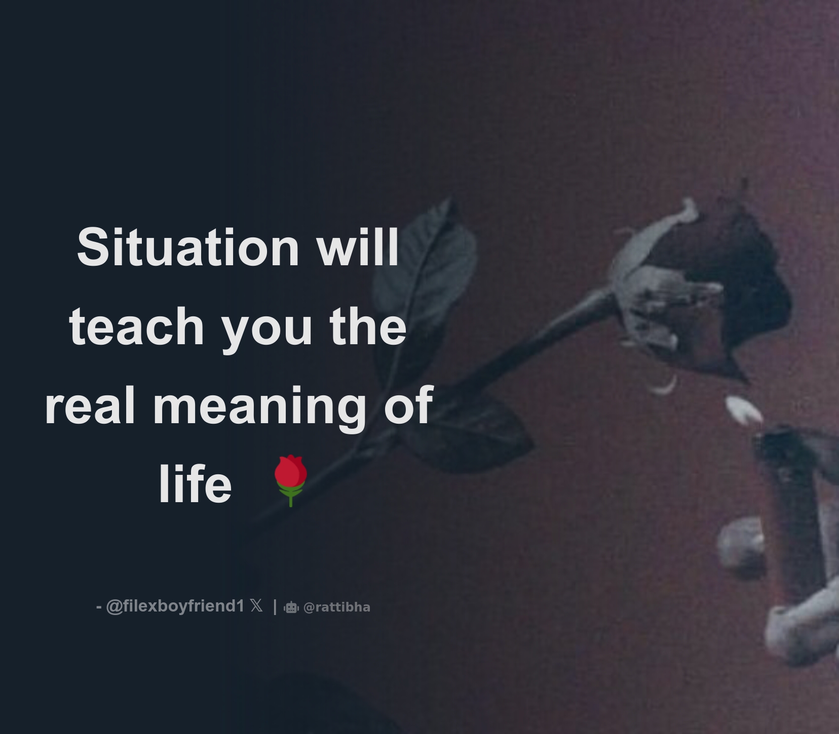 Situation will teach you the real meaning of life 🌹 - Download Tweet ...