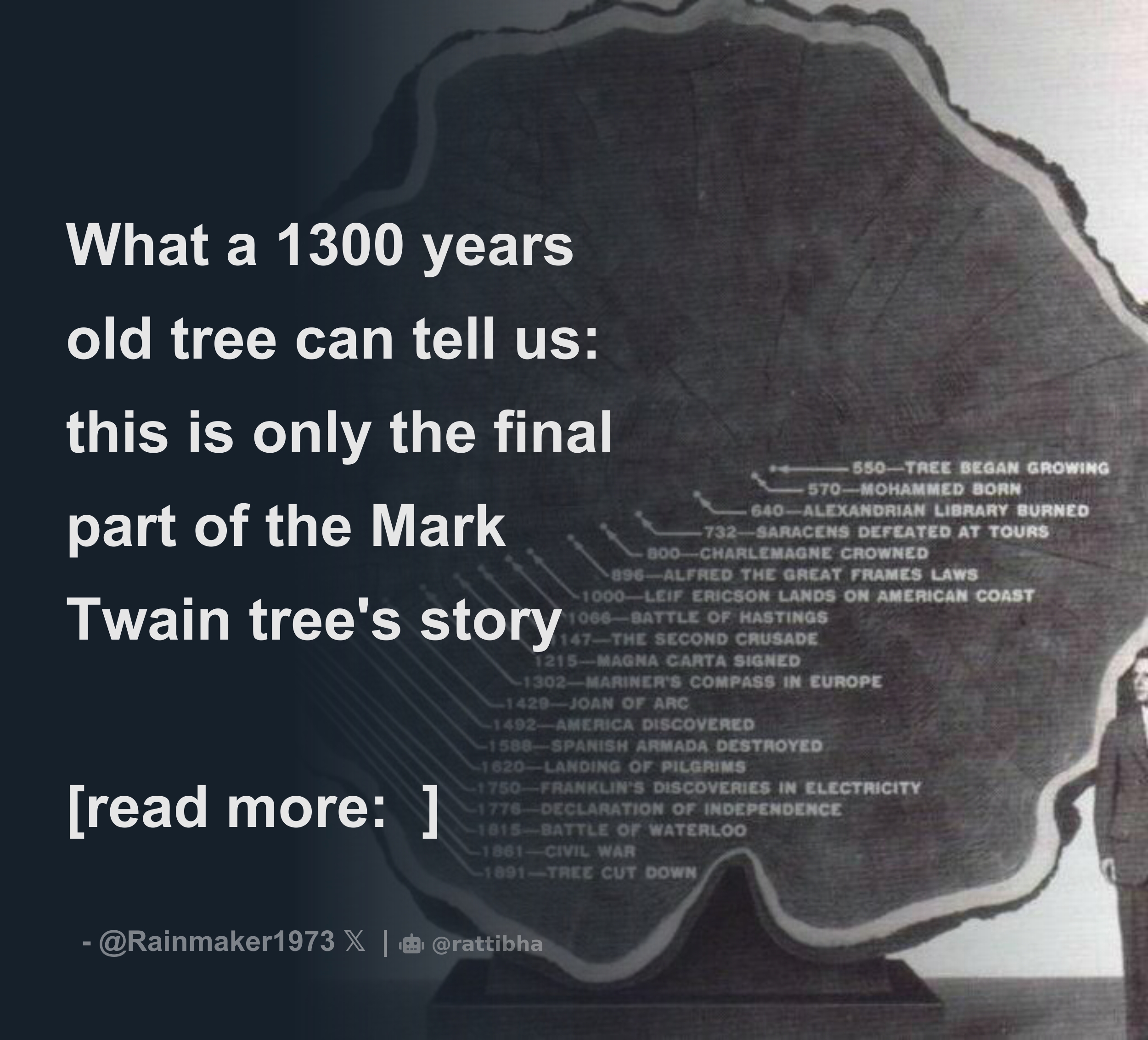 What a 1300 years old tree can tell us: this is only the final part of ...