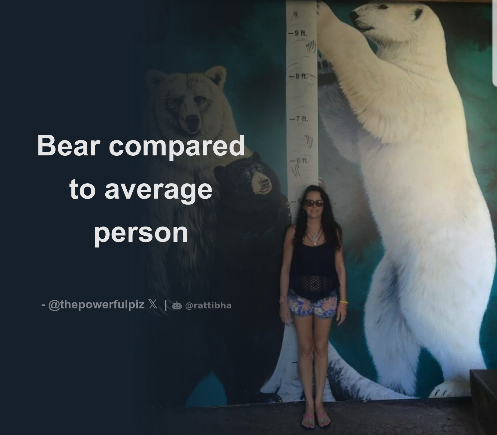 Bear compared to average person - Download Tweet Image from Human For ...