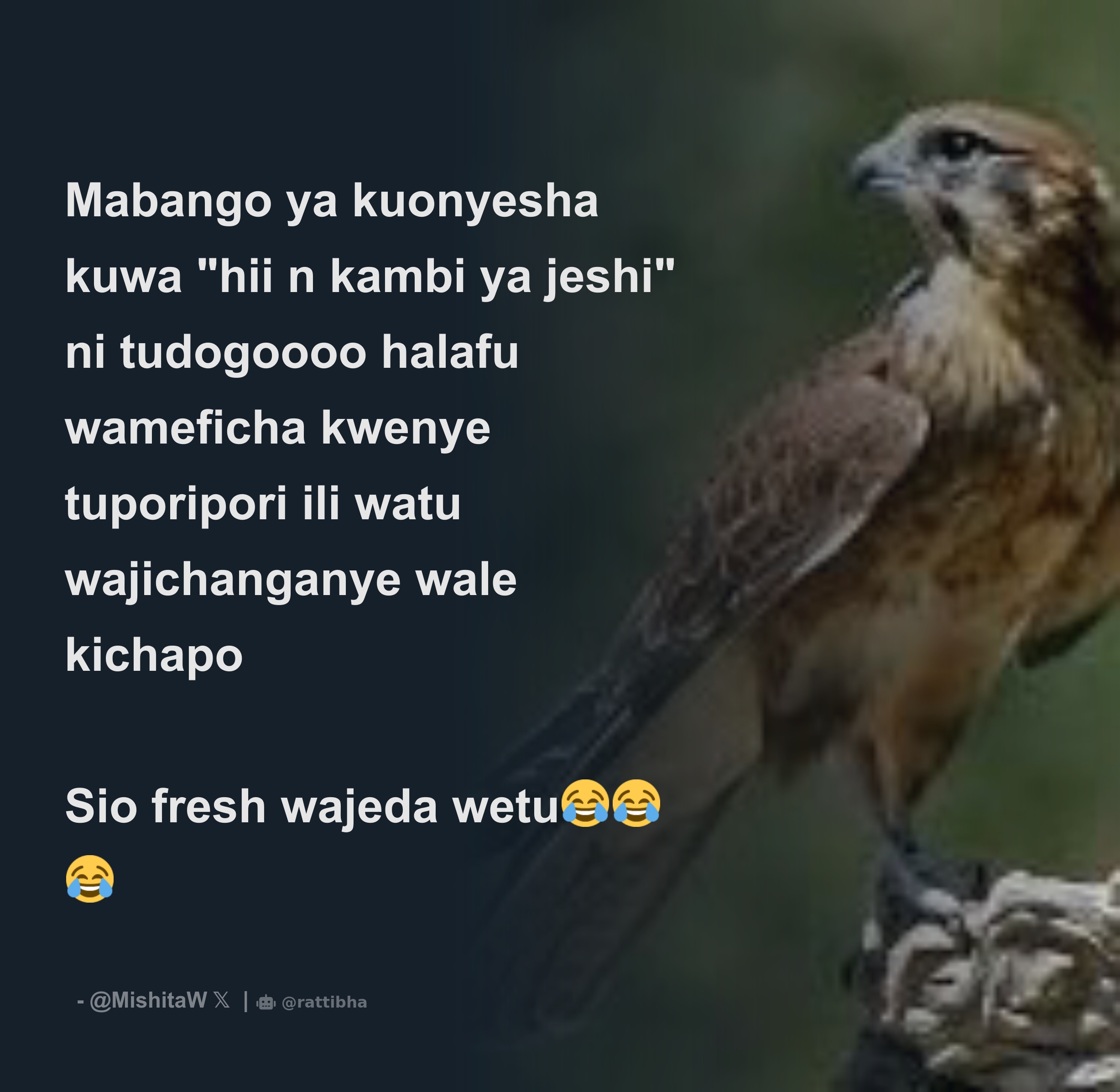 Mabango ya kuonyesha kuwa "hii n kambi ya jeshi" ni tudogoooo halafu ...