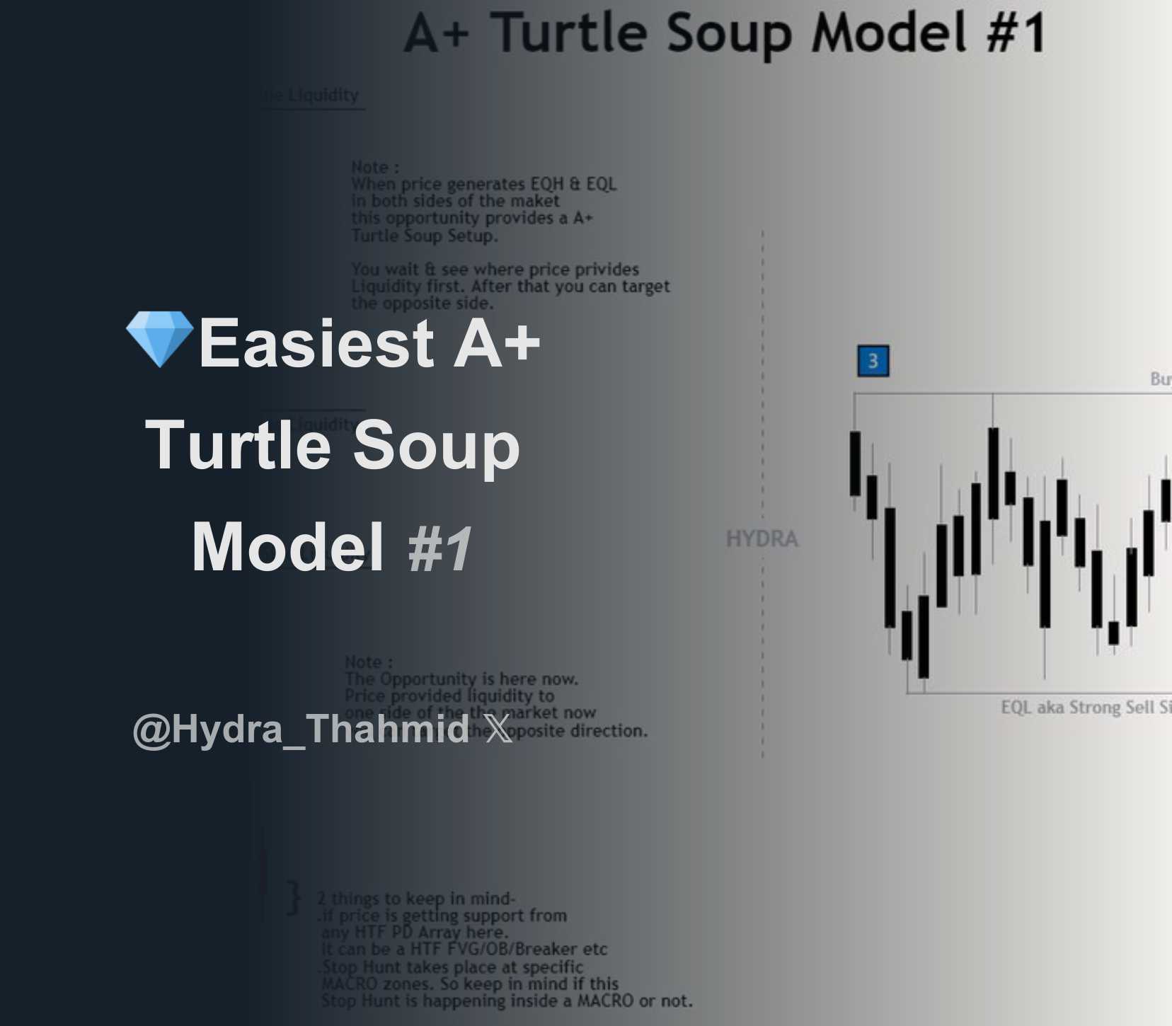 💎Easiest A+ Turtle Soup Model #1 - Download Tweet Image from HYDRA ...