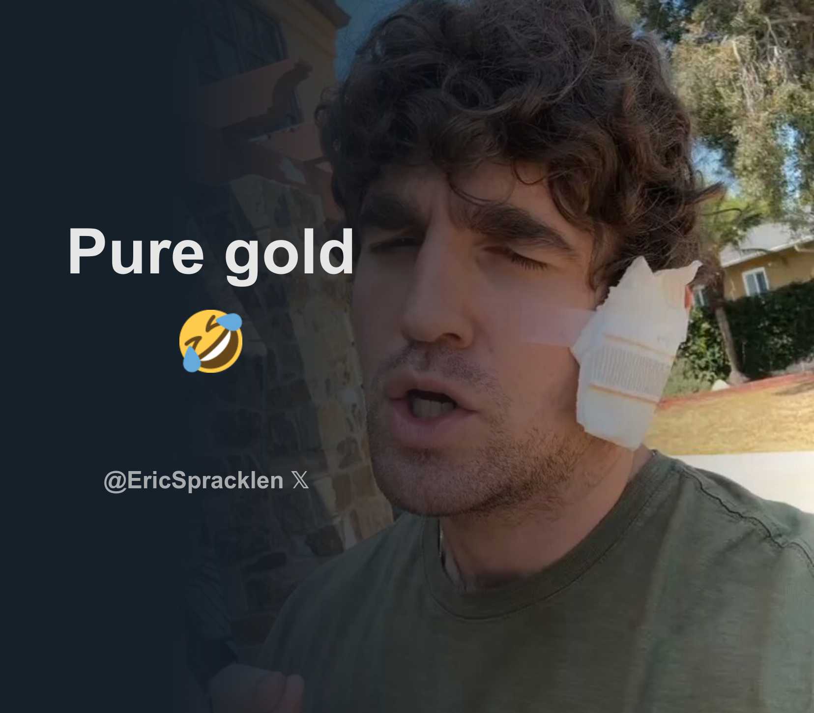 Pure gold 🤣 - Download Tweet Image from Eric Spracklen🇺🇸 @EricSpracklen ...